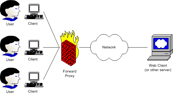 Web Client and Proxy Servers