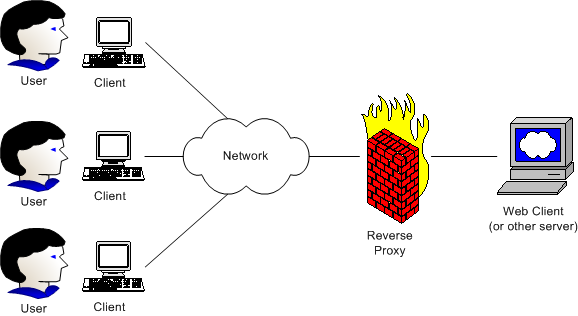 Web Client and Proxy Servers