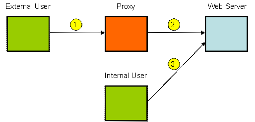 Web Client and Proxy Servers